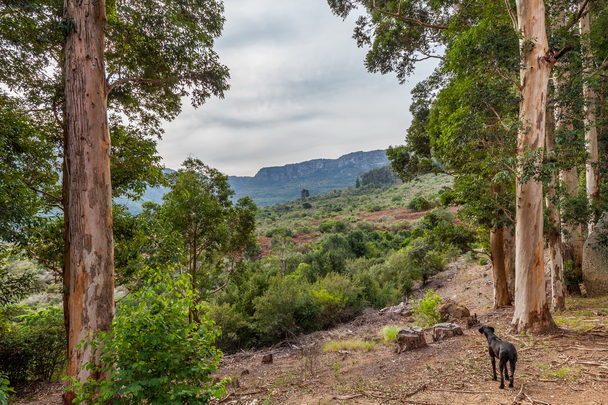 Orangekloof, Hout Bay - Amazing Spaces Locations