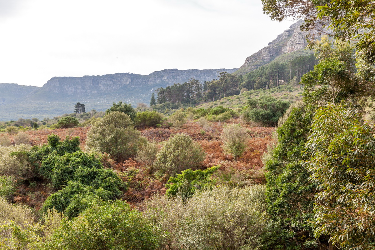 Orangekloof, Hout Bay - Amazing Spaces Locations