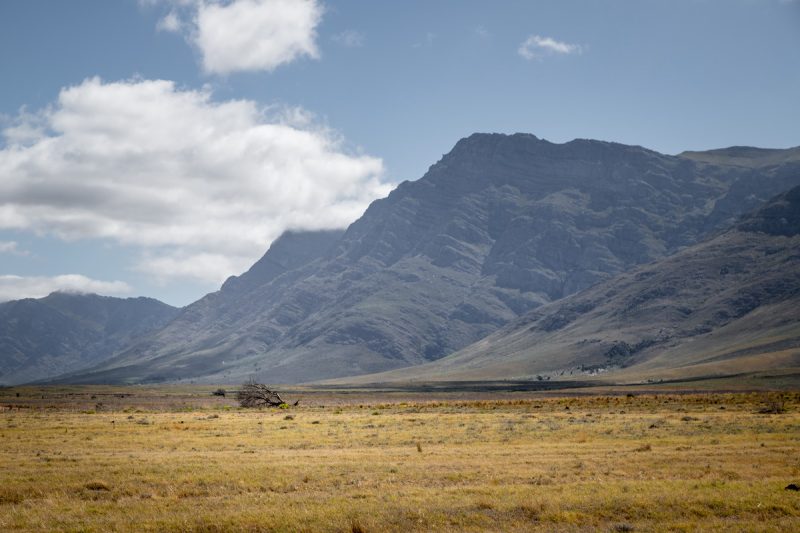 Bontebok Ridge, Wellington - Amazing Spaces Locations