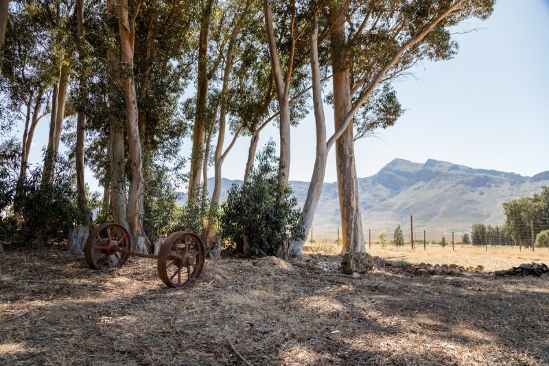Bontebok Ridge, Wellington - Amazing Spaces Locations