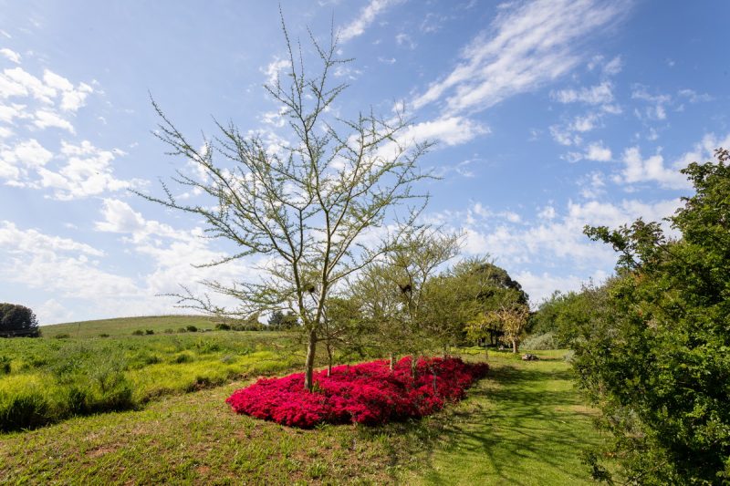 360 Degrees Farm, Elgin - Amazing Spaces Locations
