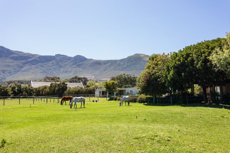 Rainbow Ranch: Eclectic Retro Home in Noordhoek, CT